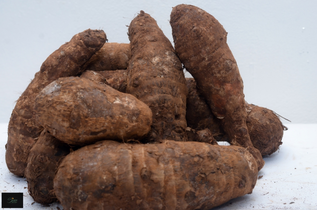 204-MACABO-BLANC | Exotique Pro