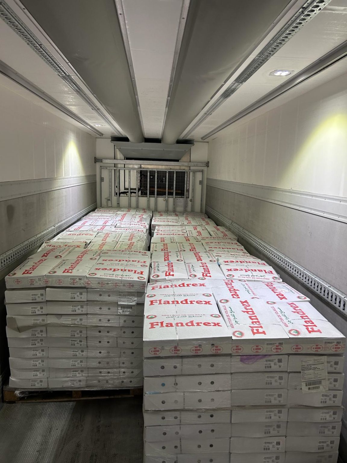 #Titre Produit﻿ | ﻿#Titre du site